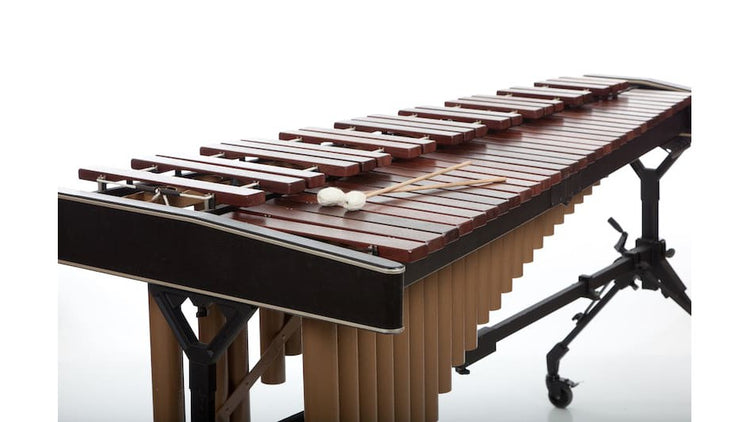 15 Sự Thật Về Đàn Xylophone Có Thể Bạn Chưa Biết – Việt Music