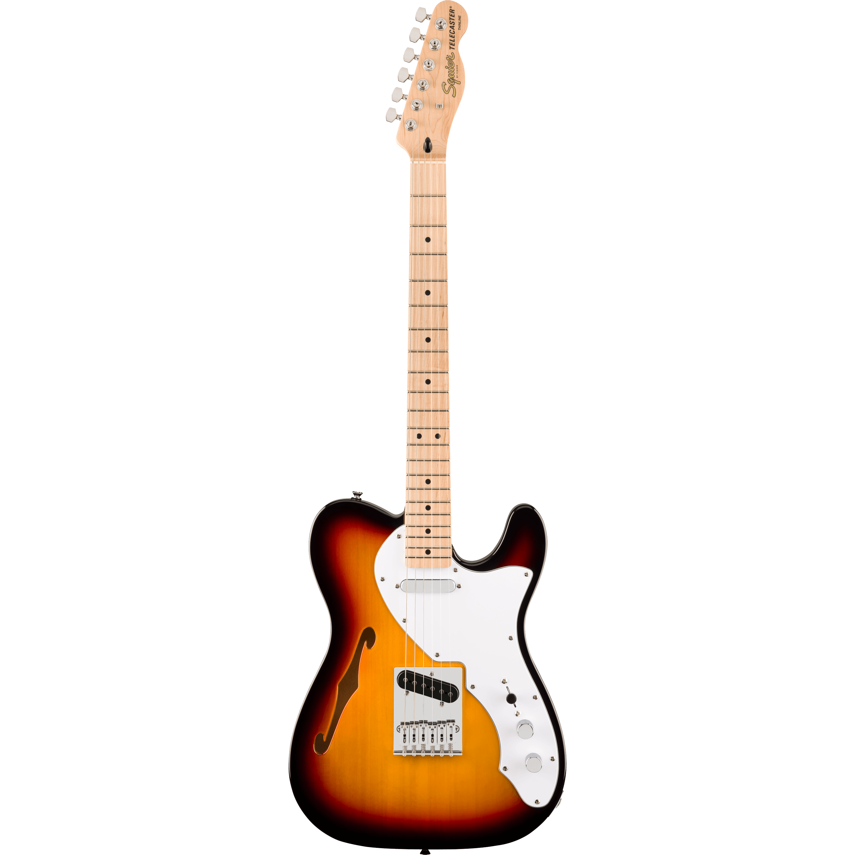 Đàn Guitar Điện Squier Affinity Series Telecaster Thinline SS, Maple F ...