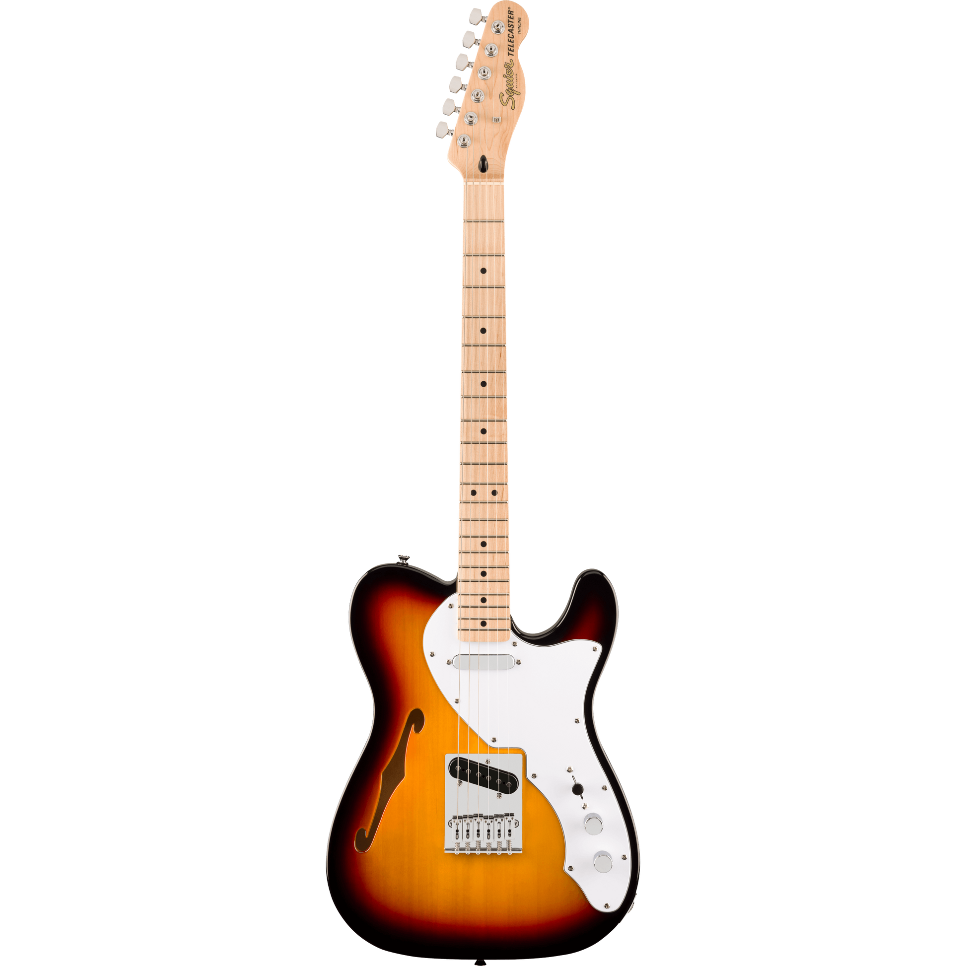 Đàn Guitar Điện Squier Affinity Series Telecaster Thinline SS, Maple F ...