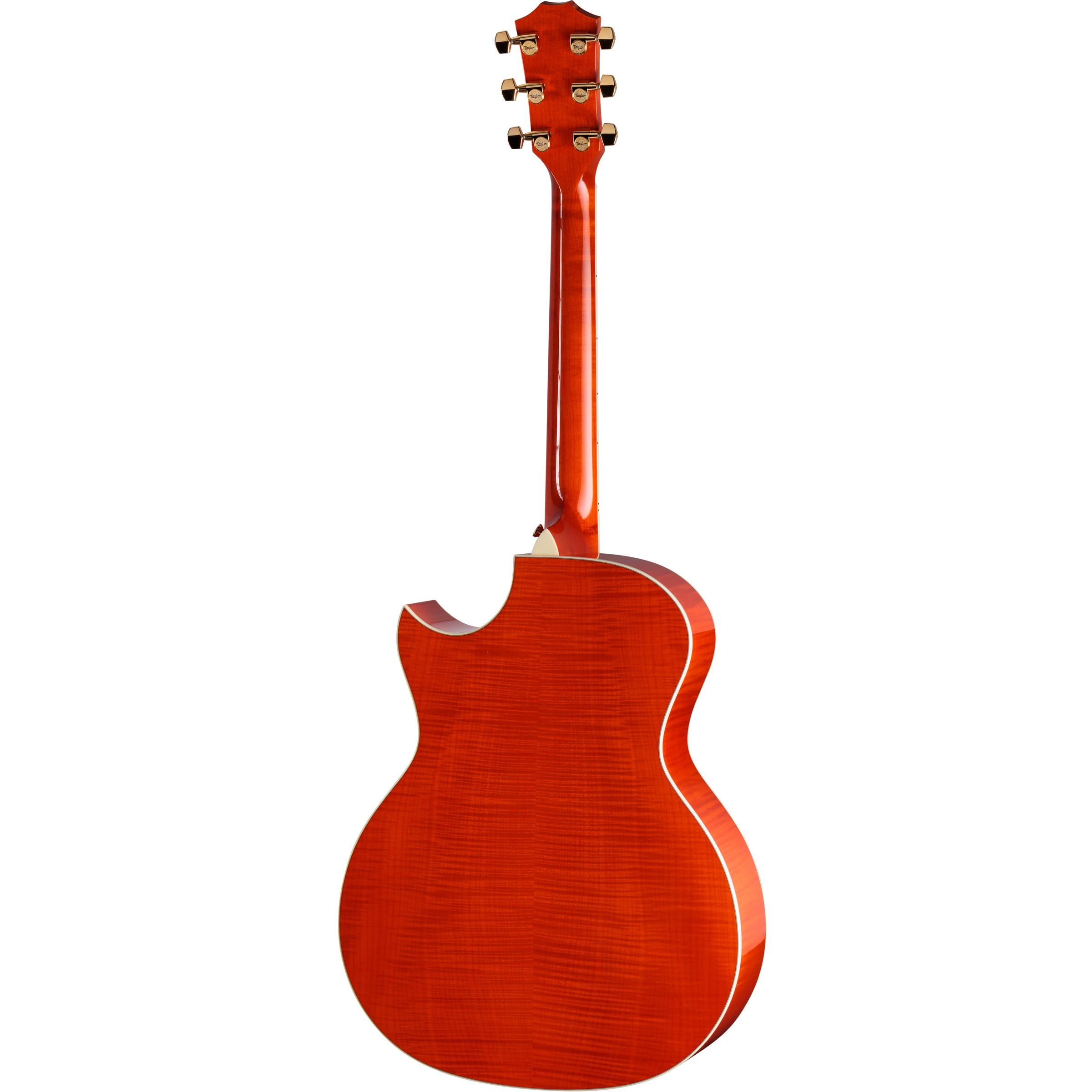 Đàn Guitar Acoustic Taylor Doyle Dykes Signature Model – Việt Music