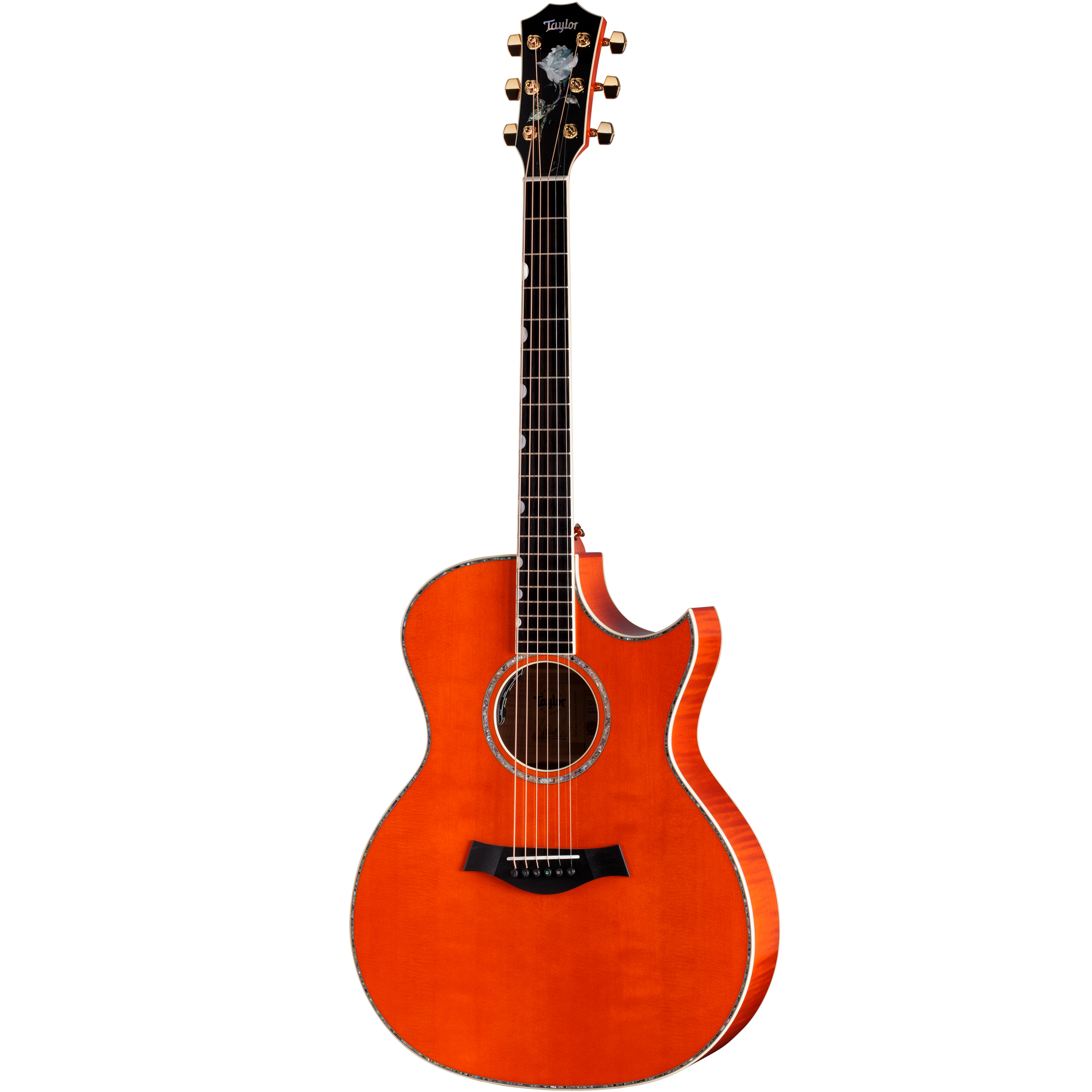 Đàn Guitar Acoustic Taylor Doyle Dykes Signature Model – Việt Music