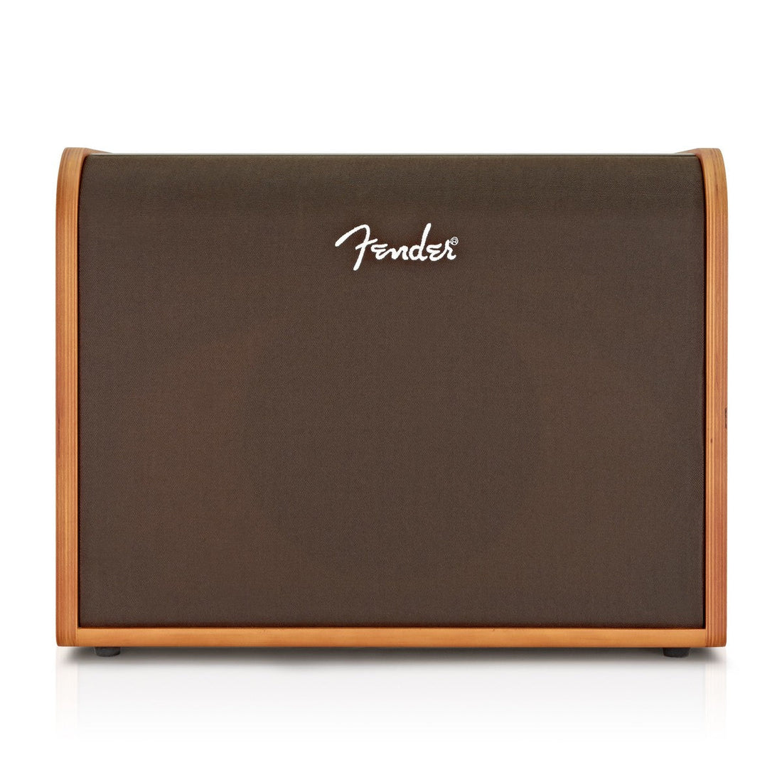 Amplifier Fender Acoustic 100, Combo 100W – Việt Music