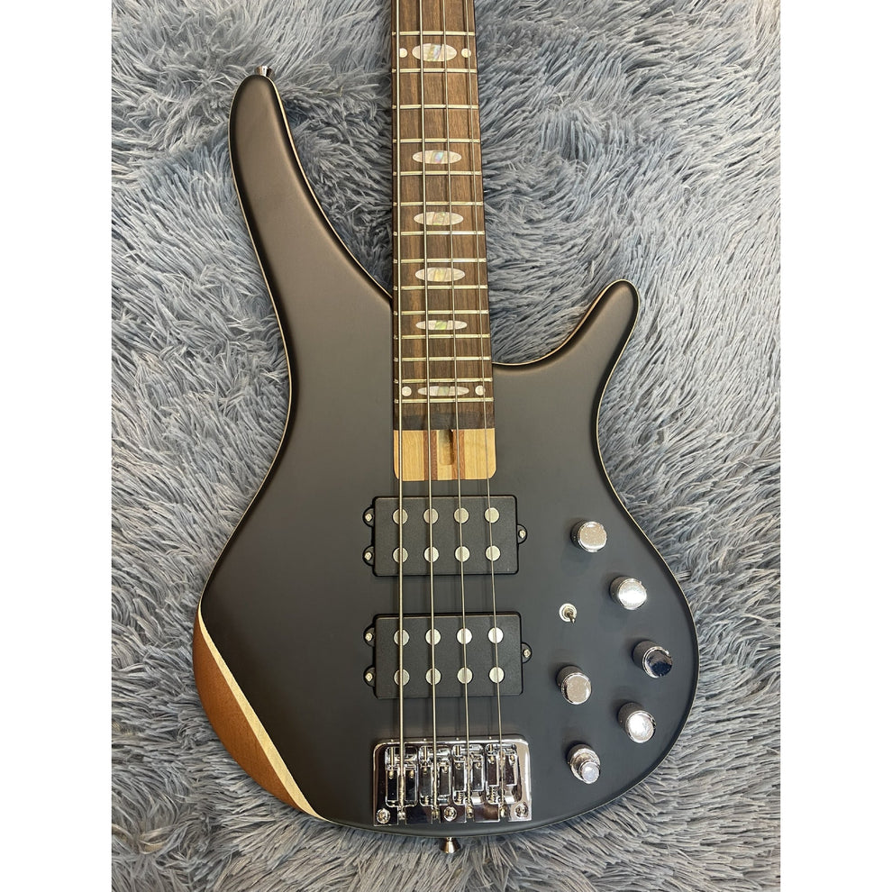 Đàn Guitar Bass Sqoe SCT4BS HH, Rosewood Fingerboard - 4 Strings – Việt ...