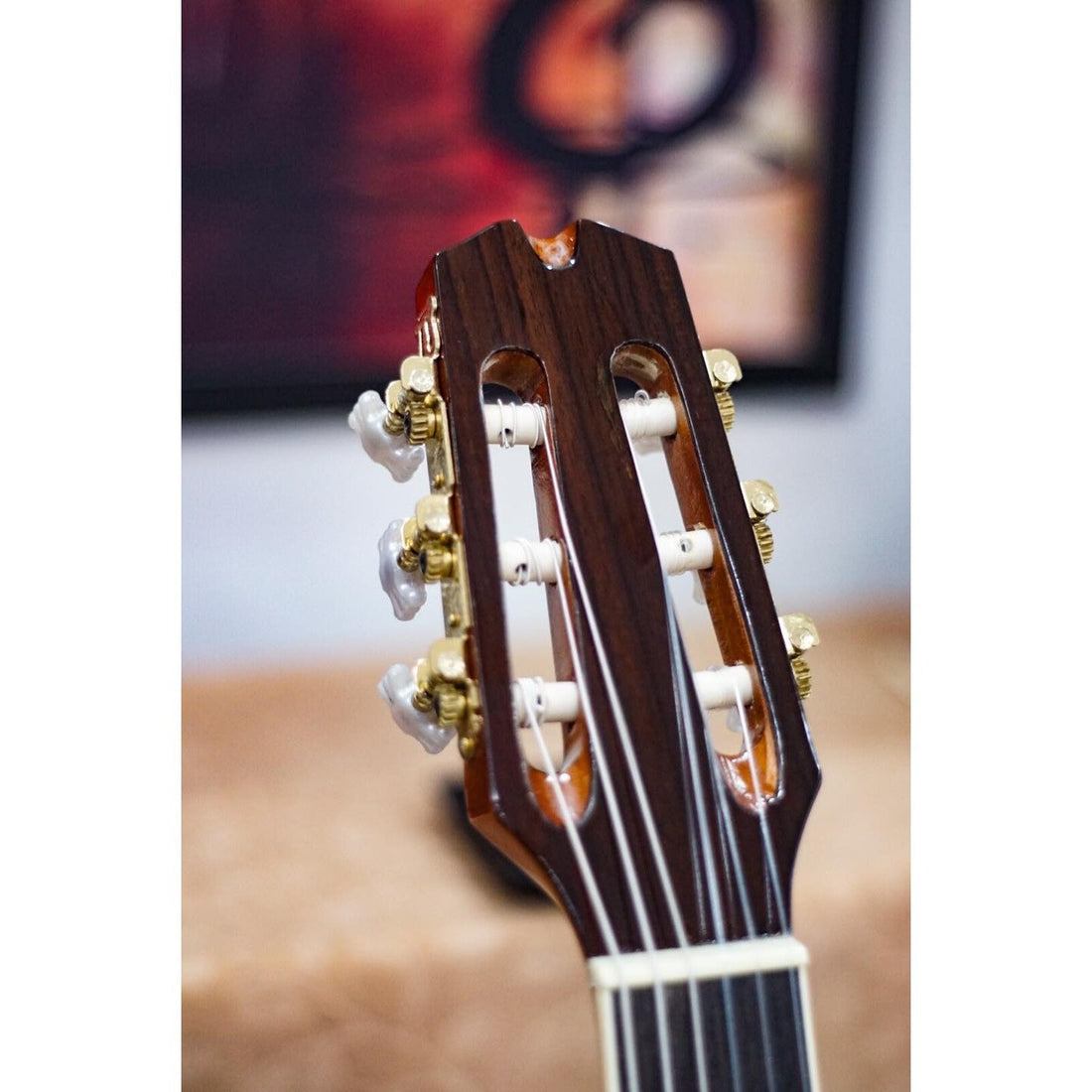 Đàn Guitar Classic Tagima Ventuer – Việt Music