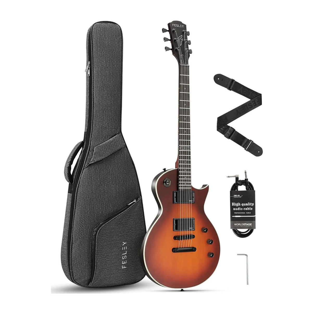 Đàn Guitar Điện Fesley FLP350 | Đàn Guitar Điện Giá Rẻ – Việt Music