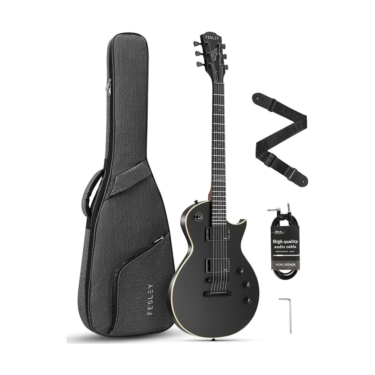 Đàn Guitar Điện Fesley FLP350 | Đàn Guitar Điện Giá Rẻ – Việt Music