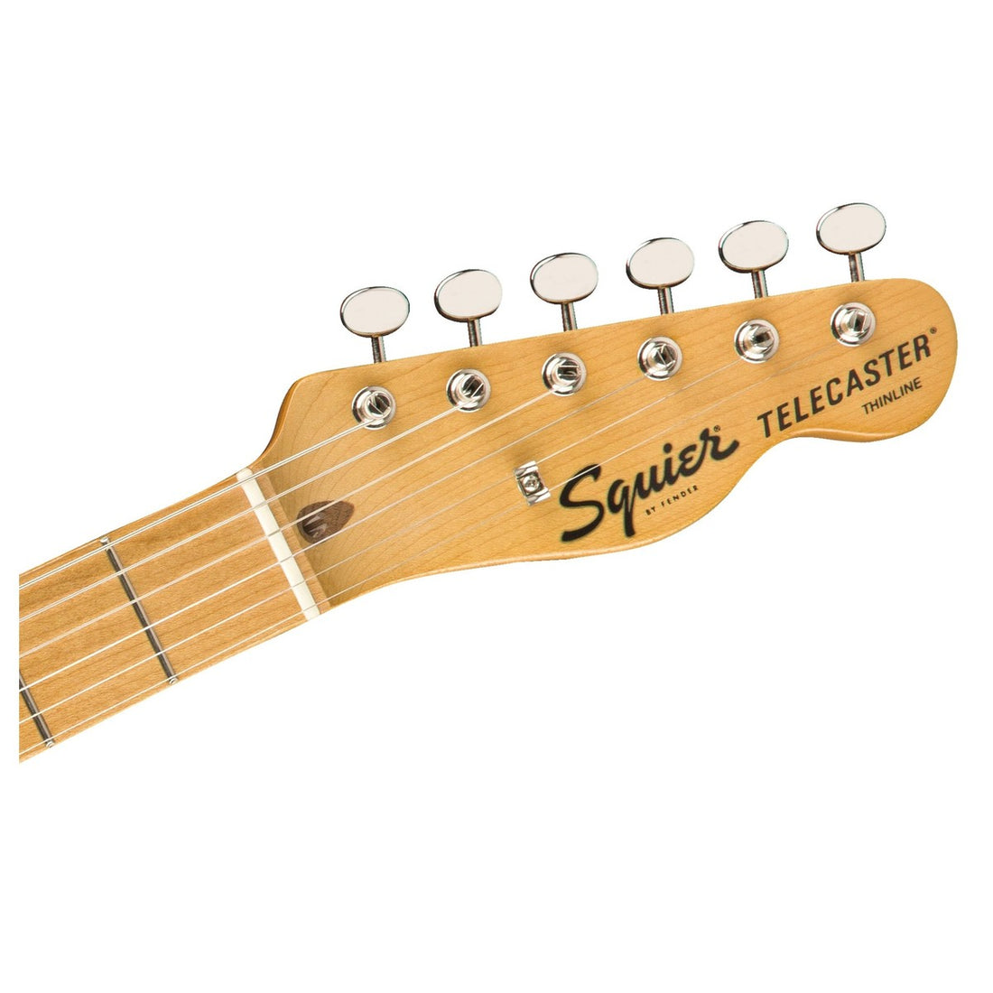 Đàn Guitar Điện Squier Classic Vibe 70s Telecaster Thinline HH, Maple ...