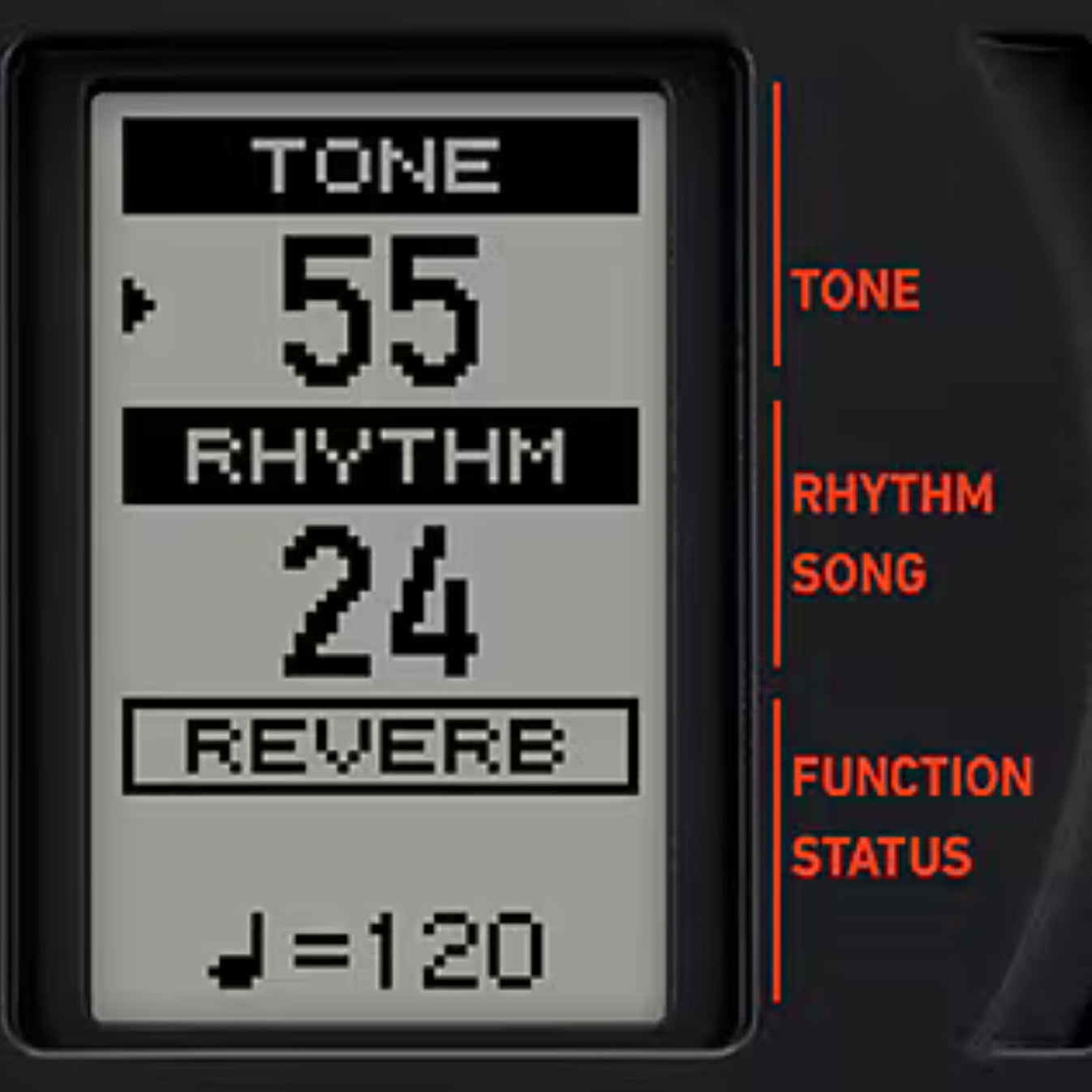 Đàn Organ Casio SA-81 – Việt Music