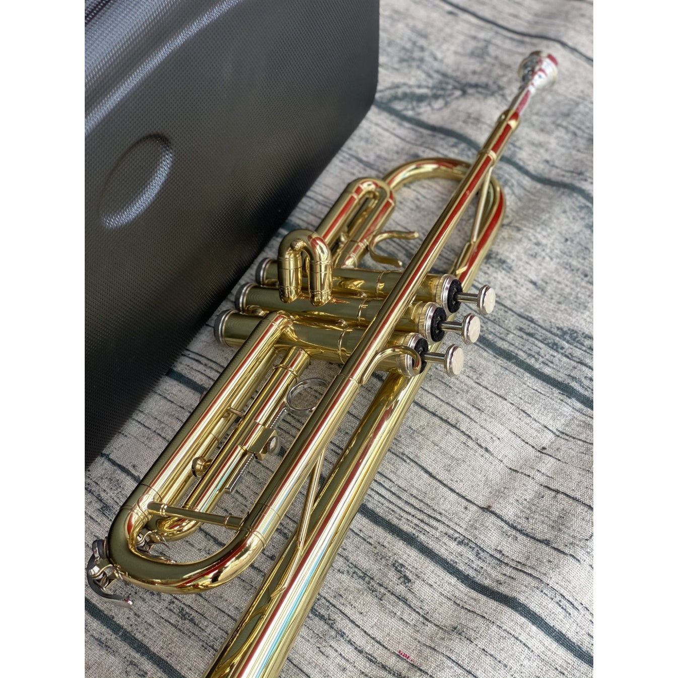 Kèn Trumpet Logo Selmer TR-300 – Việt Music