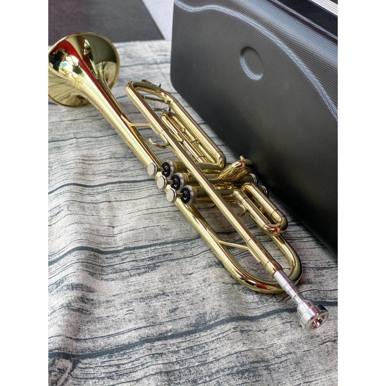 Kèn Trumpet Logo Selmer TR-300 – Việt Music