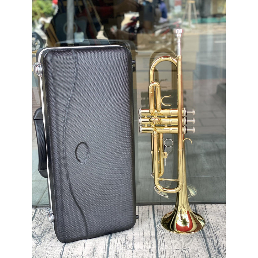 Kèn Trumpet Logo Selmer TR-300 – Việt Music